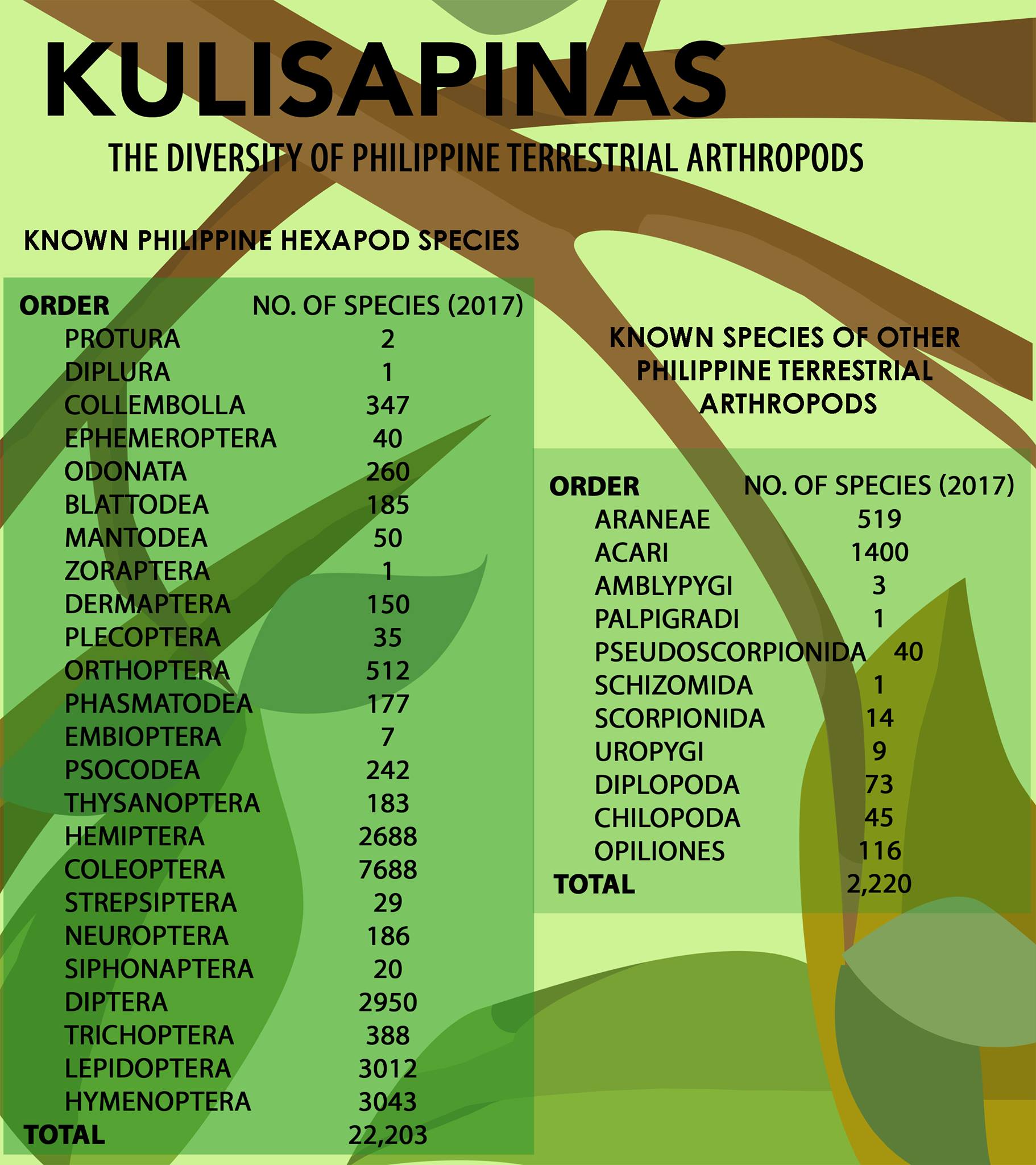KulisaPinas – KulisaPinas